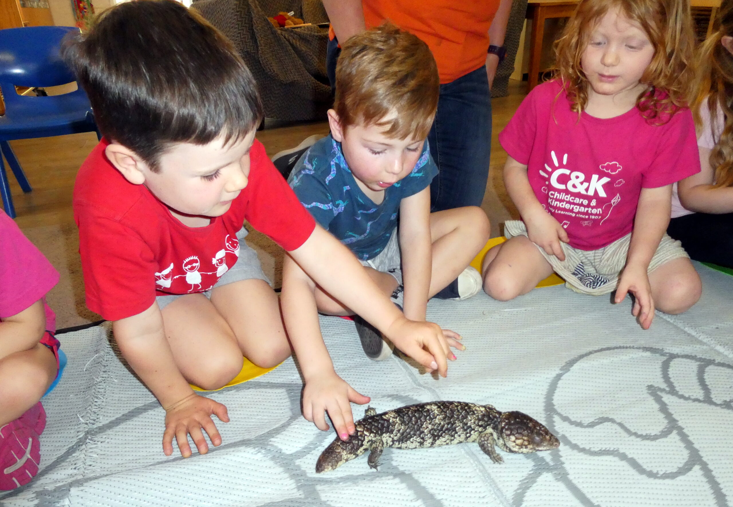 Incursions and Excursions – Banyo Kindergarten Association