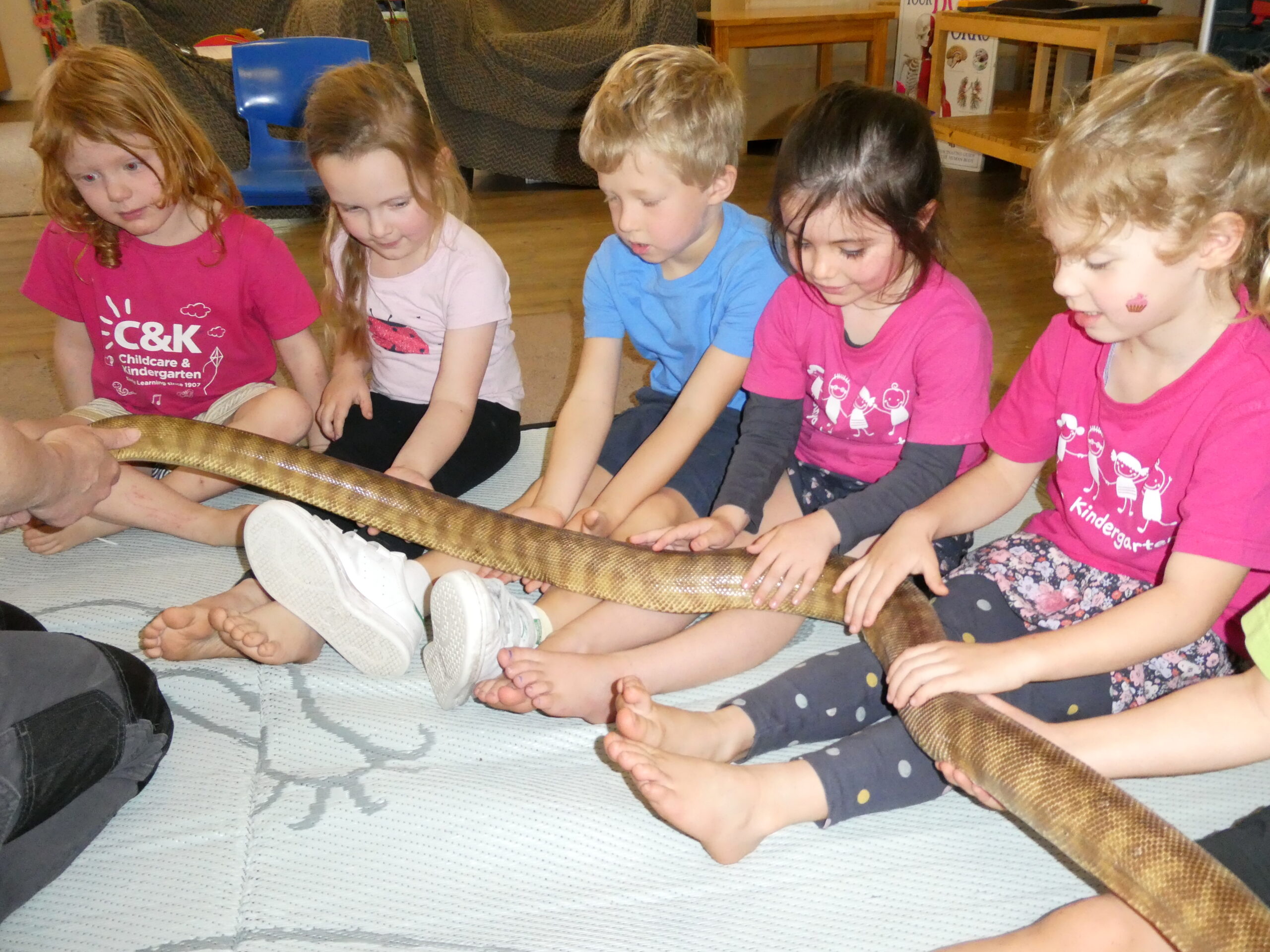 Incursions and Excursions – Banyo Kindergarten Association