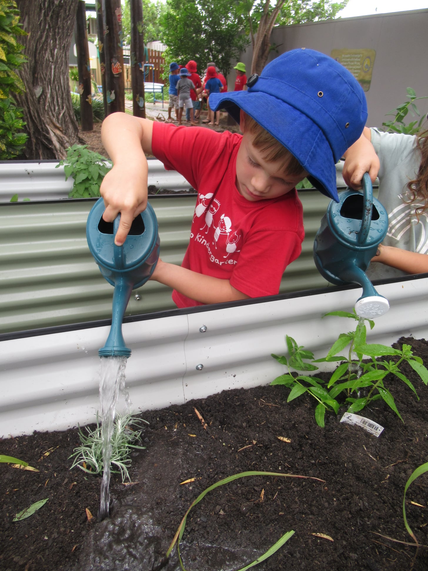 Outdoor Play Spaces – Banyo Kindergarten Association